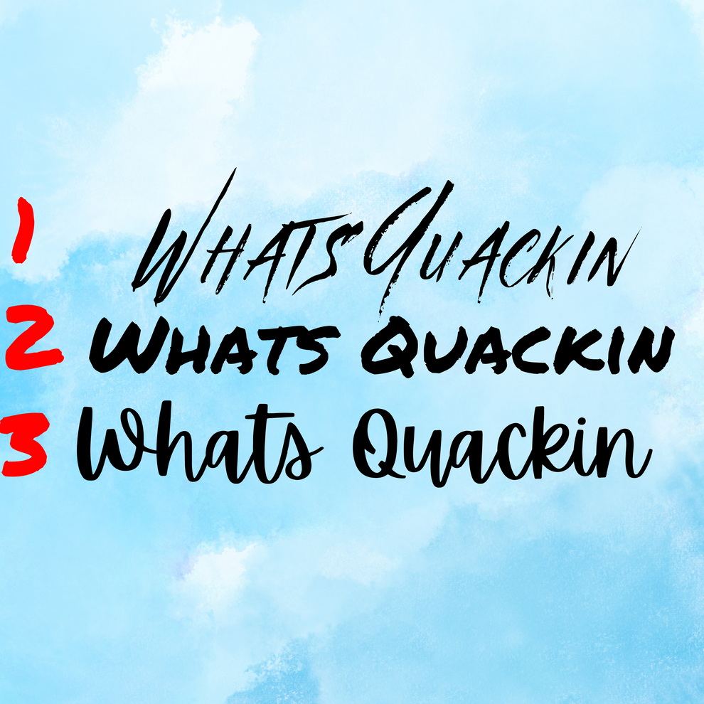 Whats Quackin Decal – That’s Ducked Up