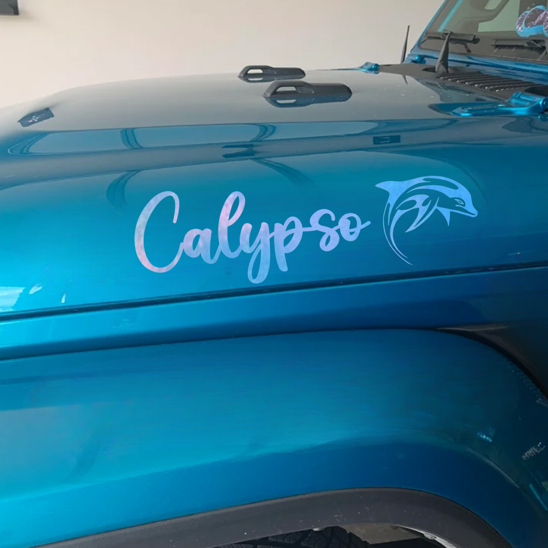 Hood Decals – That’s Ducked Up